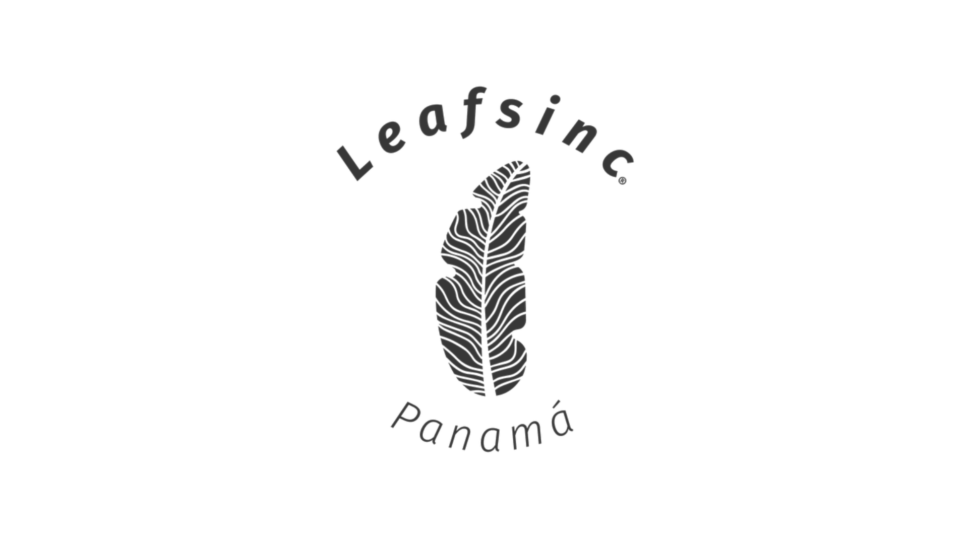 Echo Technologies | Automation & AI Solutions for Business Growth